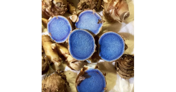 csr organics, Black Turmeric Root / Kala Haldi / Karu Manjal (250 gms)