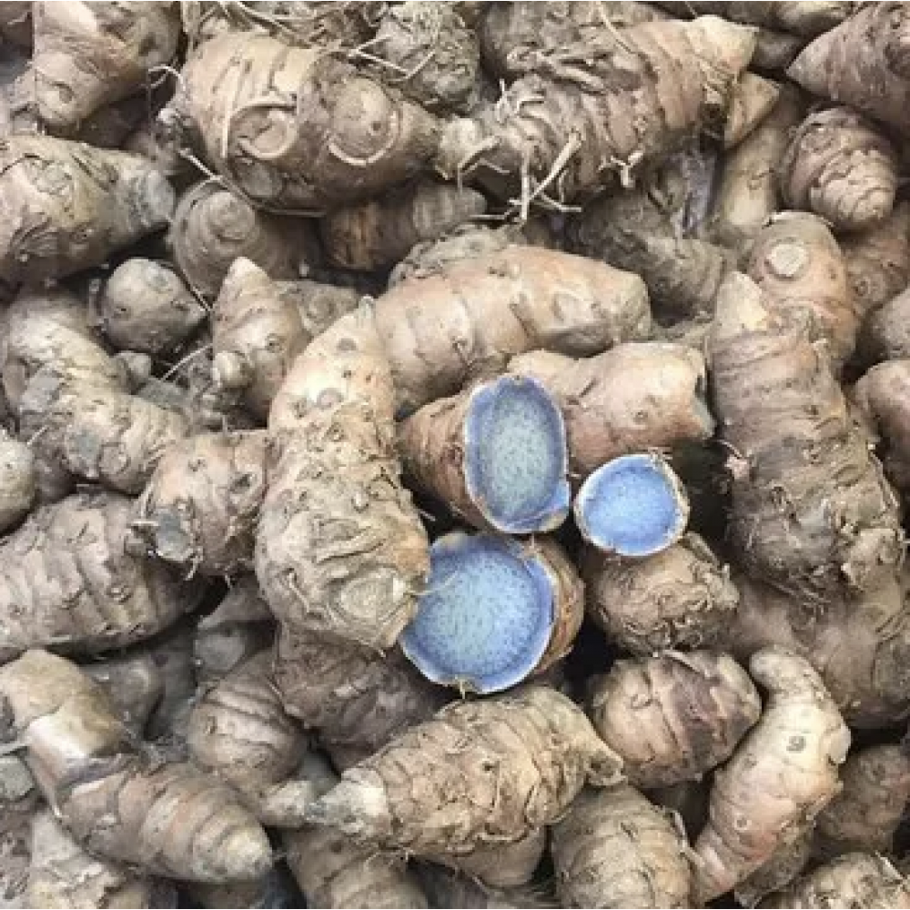 csr organics, Black Turmeric Root / Kala Haldi / Karu Manjal (250 gms)