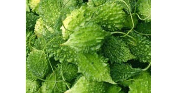 Small Karela / Bitter Gourd Seeds
