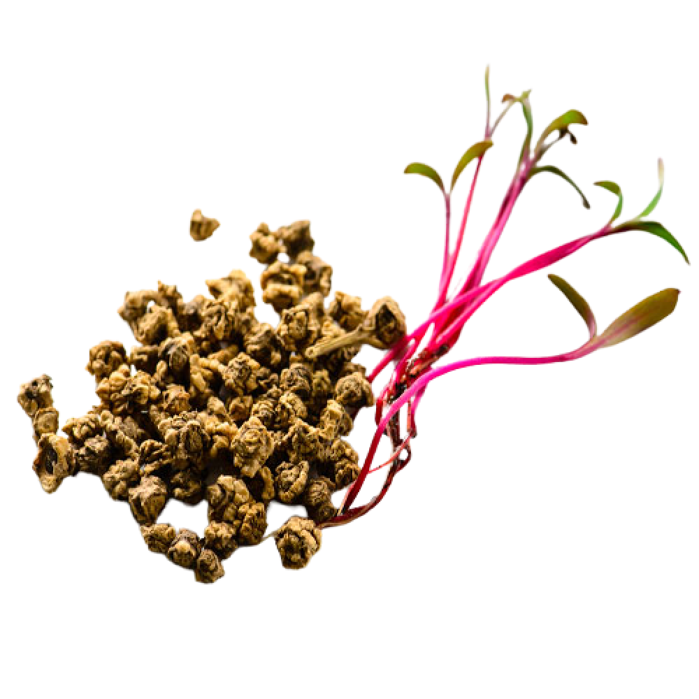 Beetroot Seeds (20)