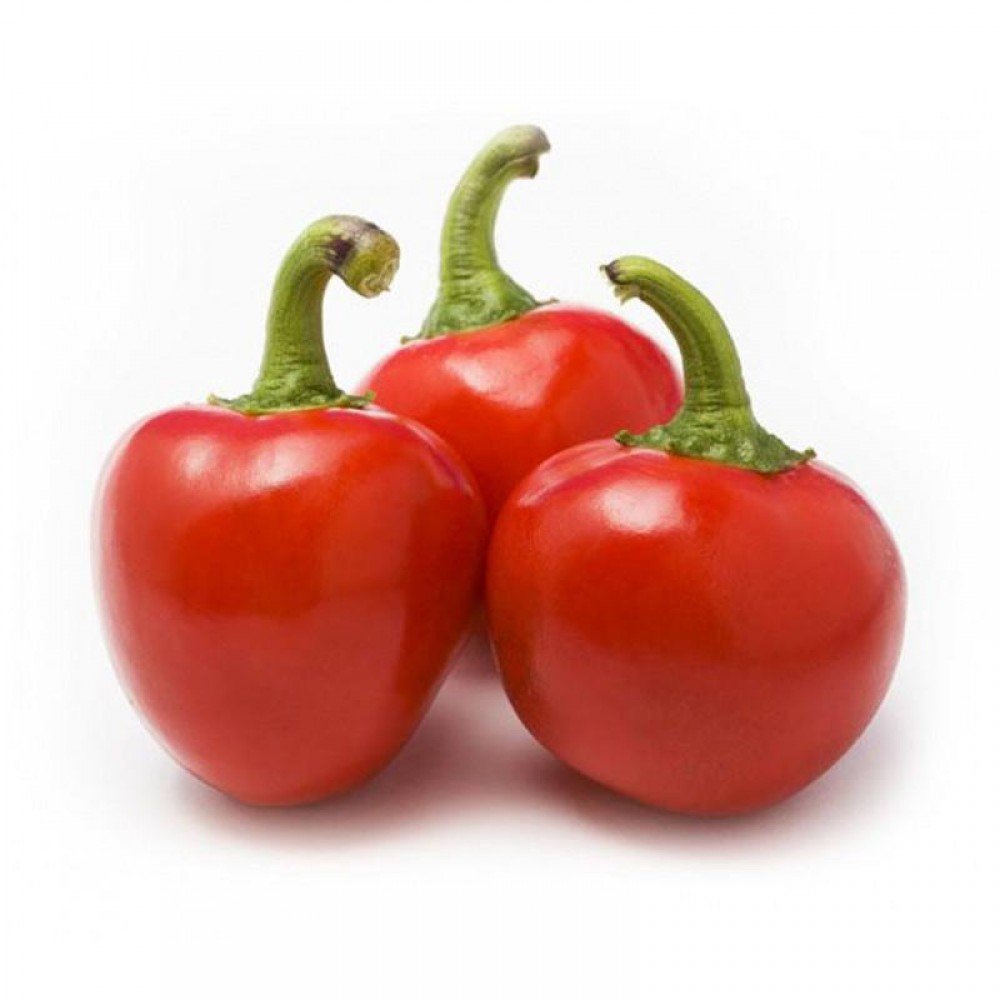 Bullet mirchi seeds online