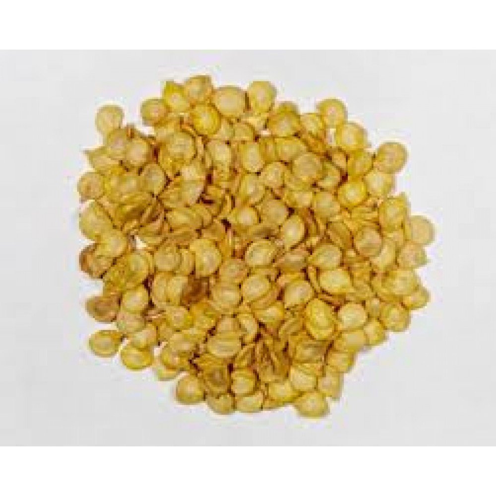 Yellow capsicum seeds online