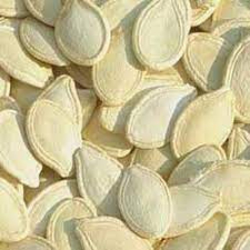 Ash Gourd / Budida Gummadi Kaya Seeds