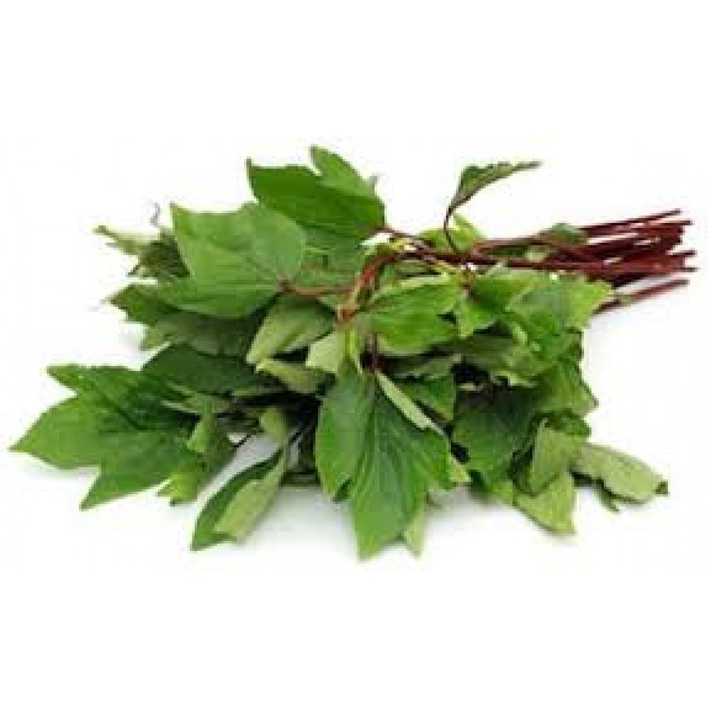 Gongura Sour Spinach Seeds