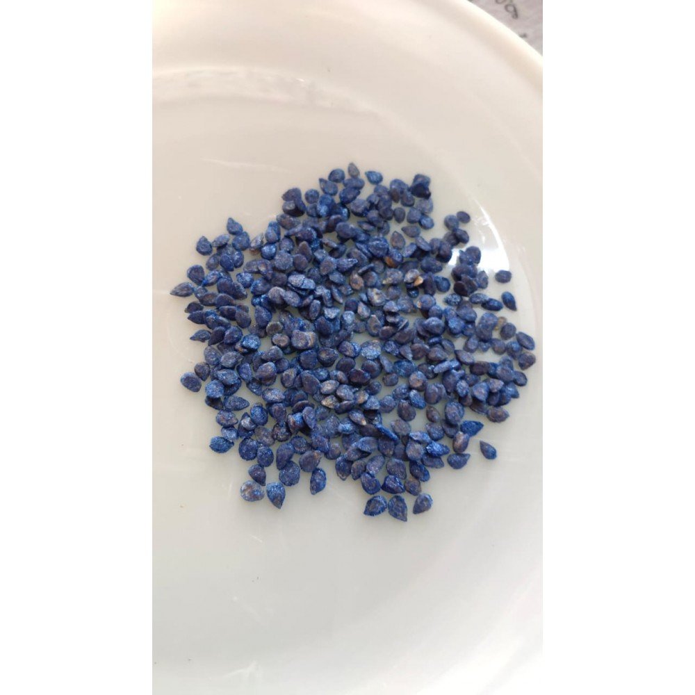Tomato Creeper Seeds